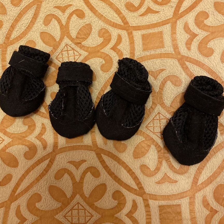 Йоркширский терьер, щенок