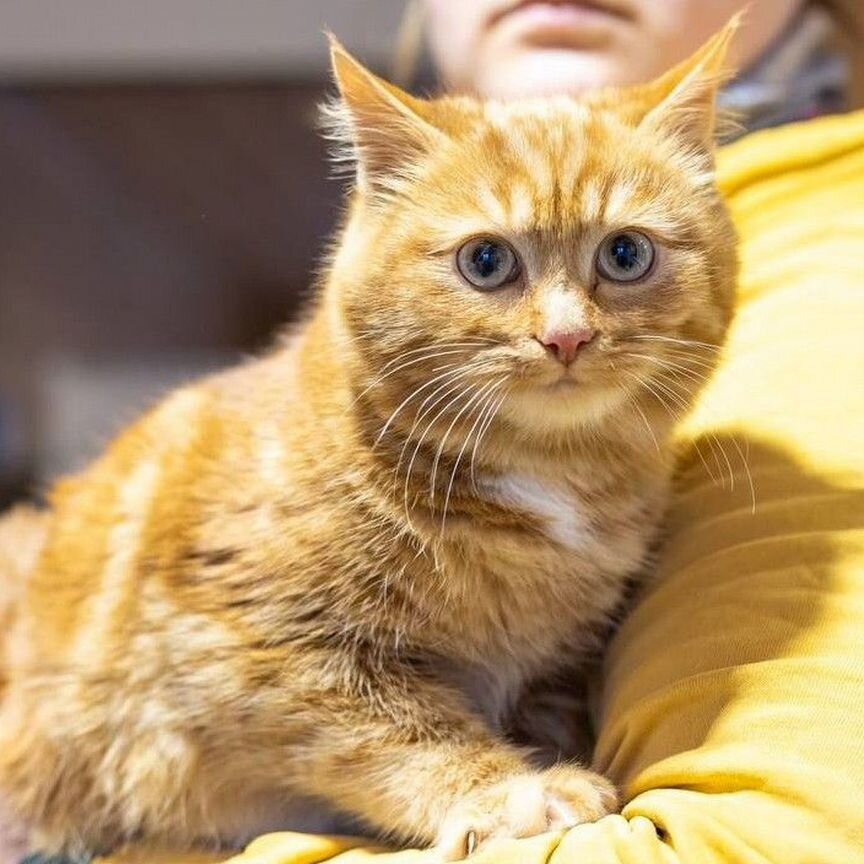 Толик Потрясающий малыш ждёт вас