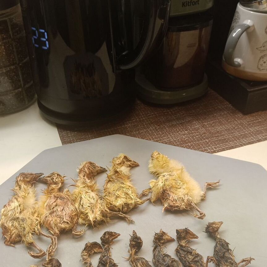 Лакомства для животных