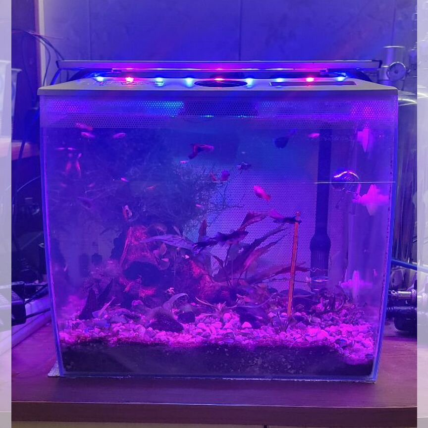 Аквариум Fluval flex