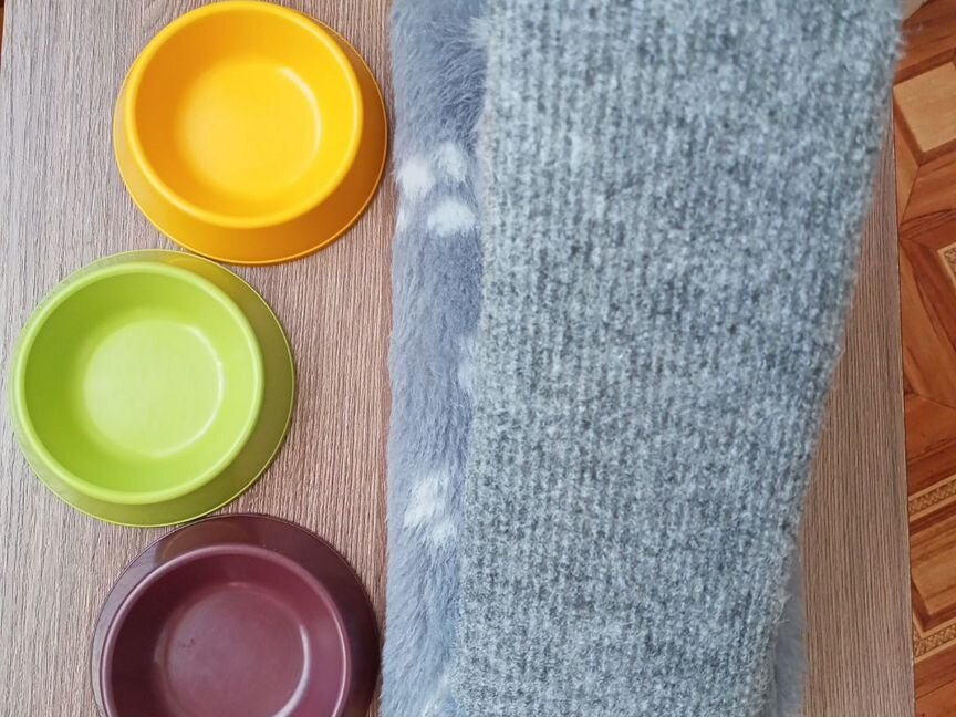 Когтеточка и миски для котят