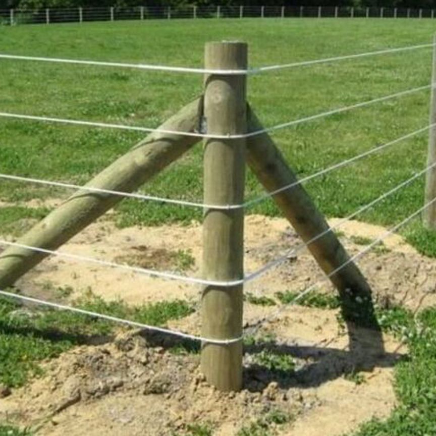 Электропастух с гарантией