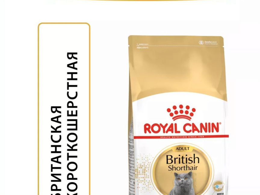 Royal canin british shorthair