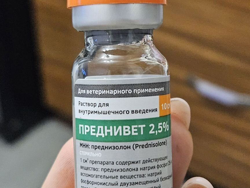 Преднивет