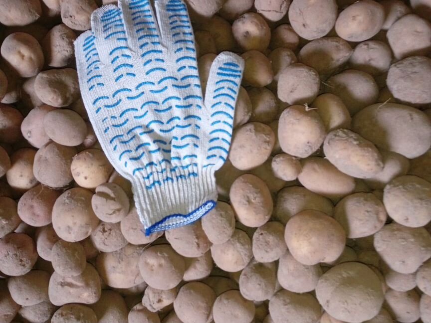 Мелкий картофель