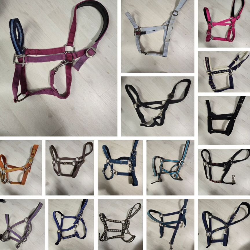 Много амуниции для лошади