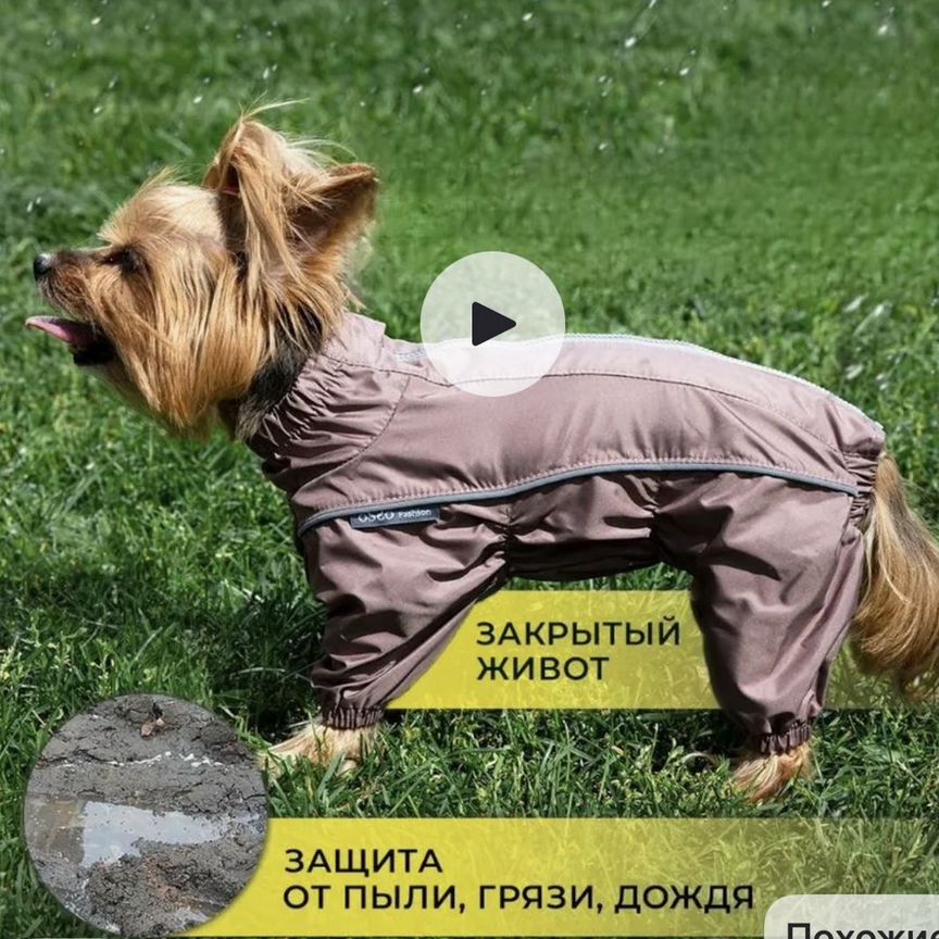 Дождевик для собак (самок)