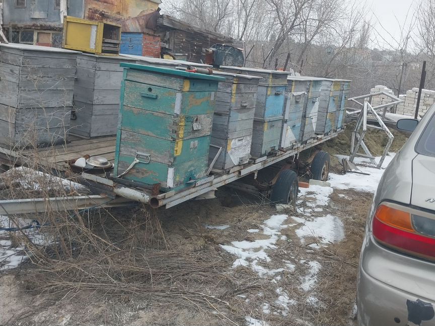 Улики для пчел