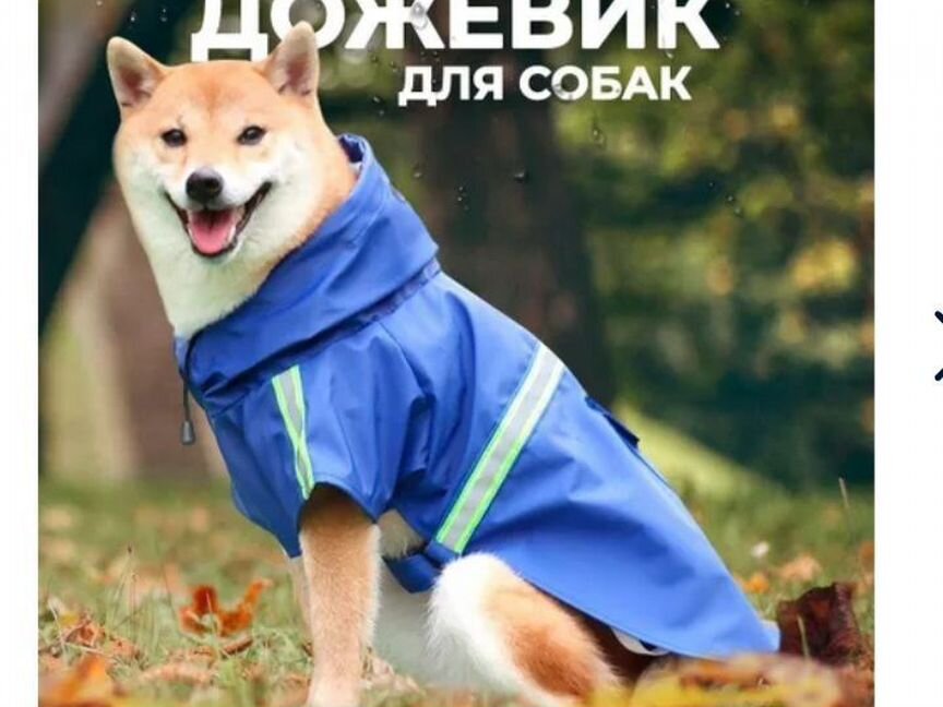 Дождевик для собак