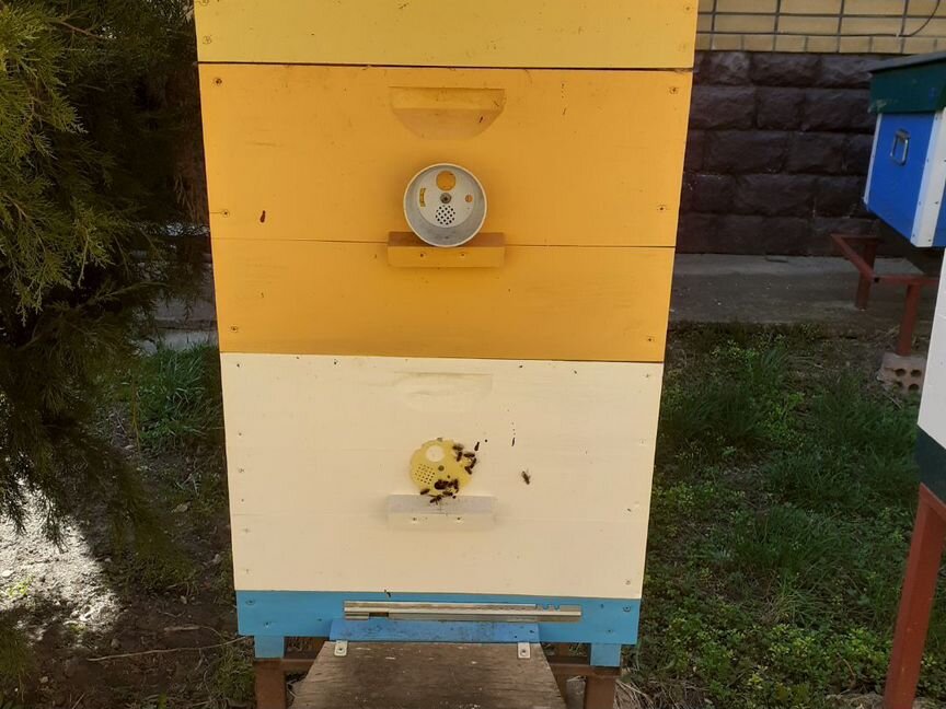 Улей для пчел бу