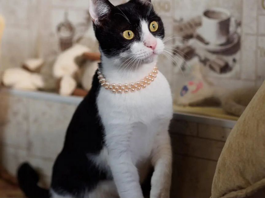 Красотка Юна ждет новогоднего чуда