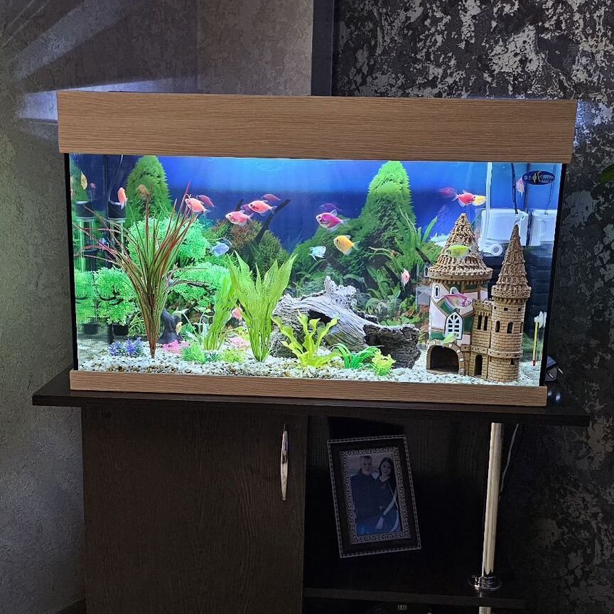 Аквариум с рыбками