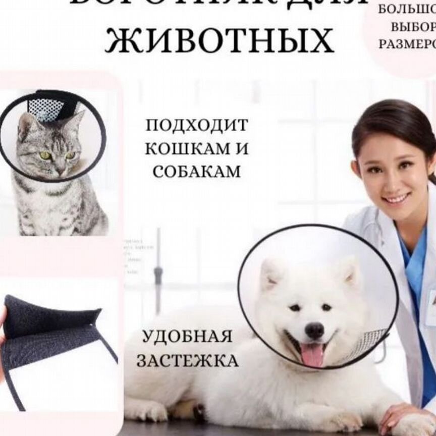 Воротник для животных