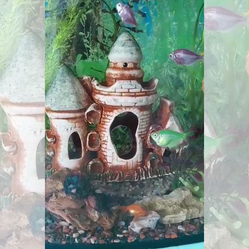 Аквариум телевизор с рыбками 50л