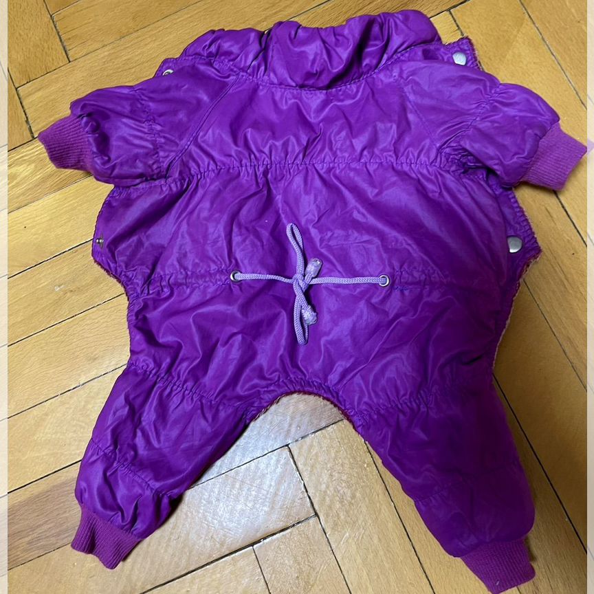 Комбинезон для собачки