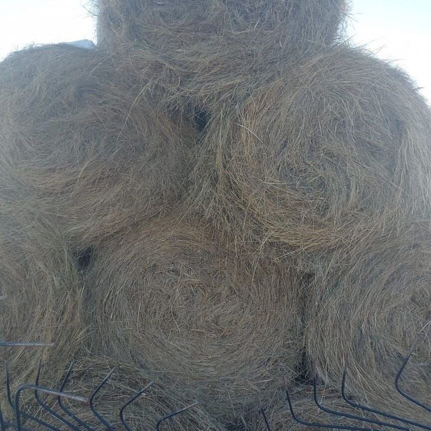 Сено в рулонах