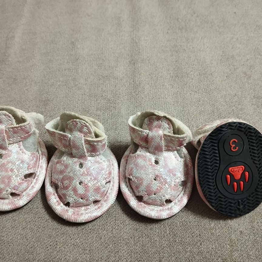 Ботинки для маленьких собак