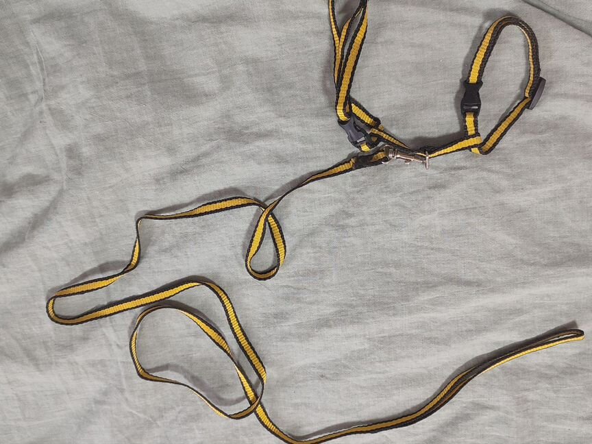 Шлейка для кошки