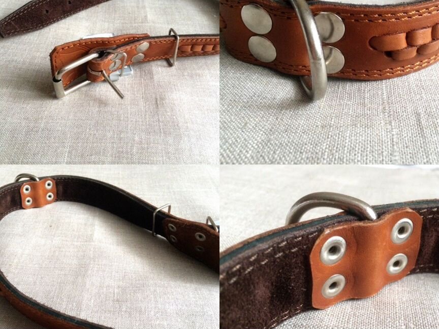 Ошейники и водилки