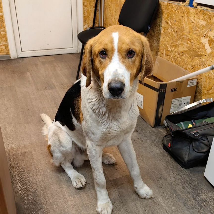 Найден в Бабяково