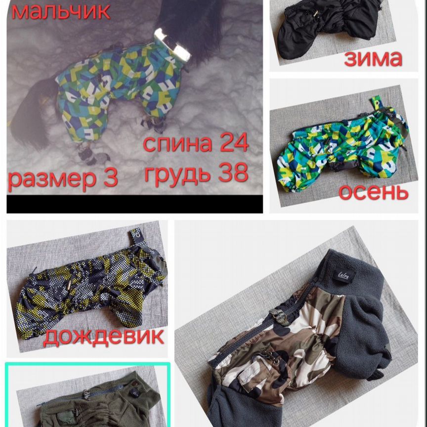 Комбинезон для собаки Laira