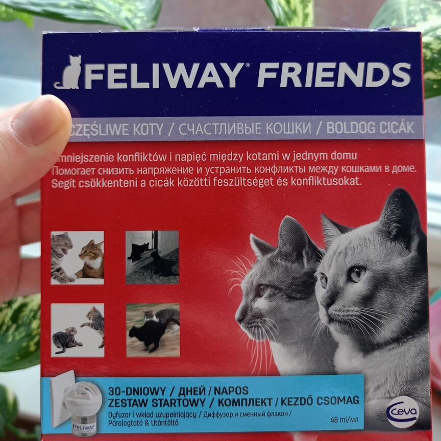 Феромоны для кошек