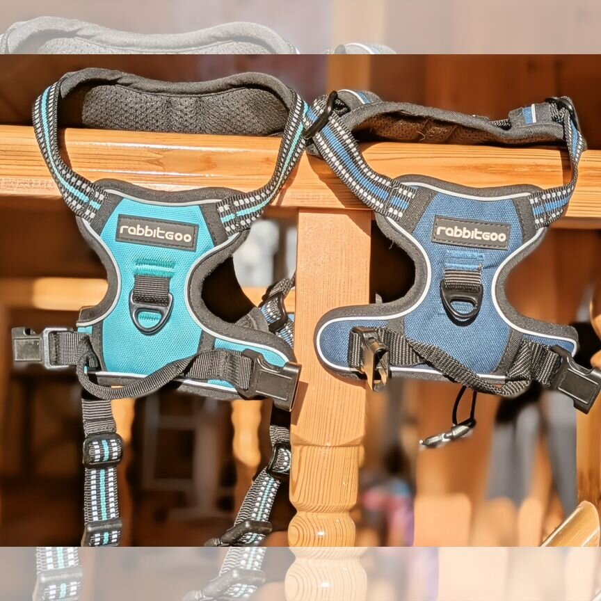 Шлейка новая для собакена S, США, Rabbitgoo