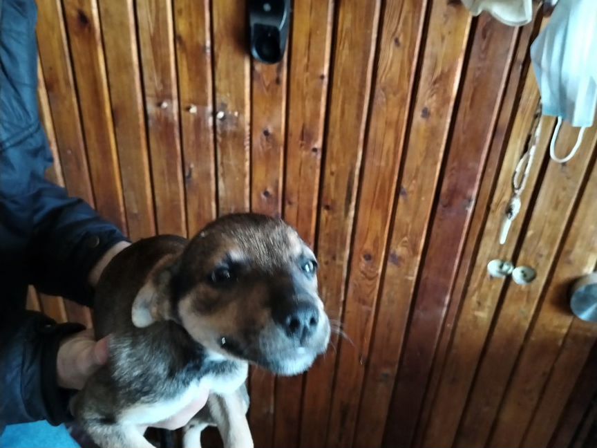 Миленькая крошка, уже многое пережила