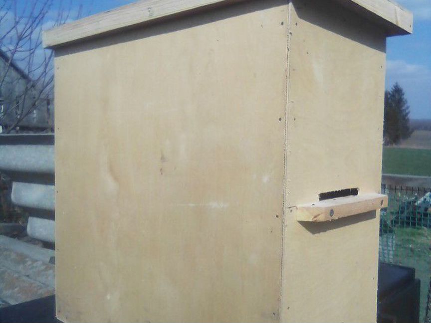 Ульи, ловушки