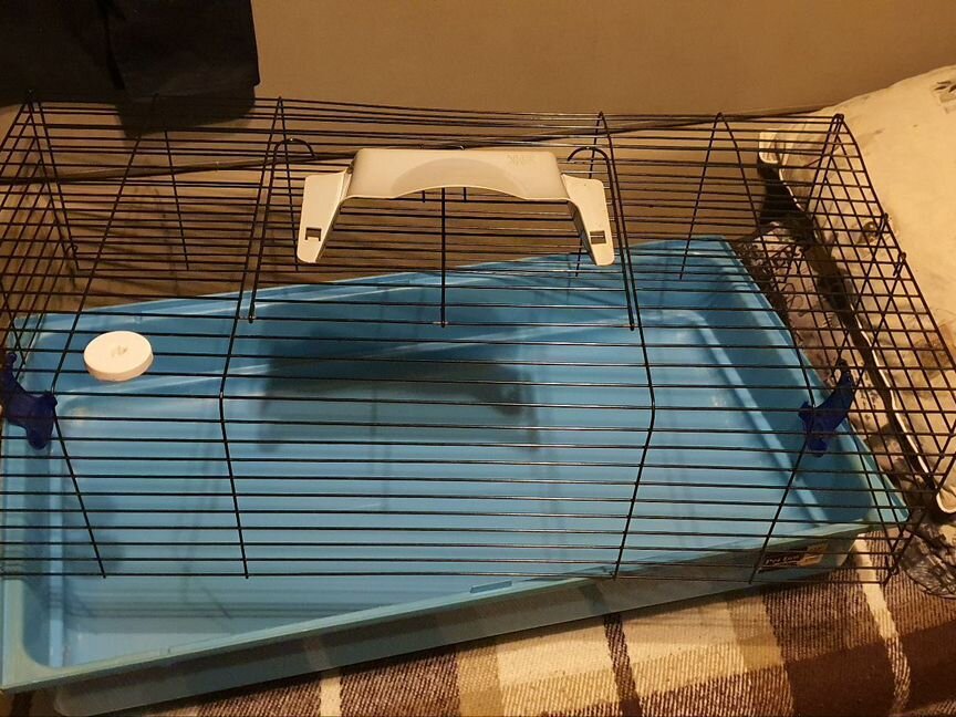 Клетка для грызунов