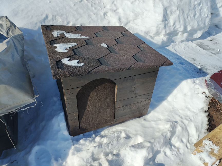 Будка из досок (конура)