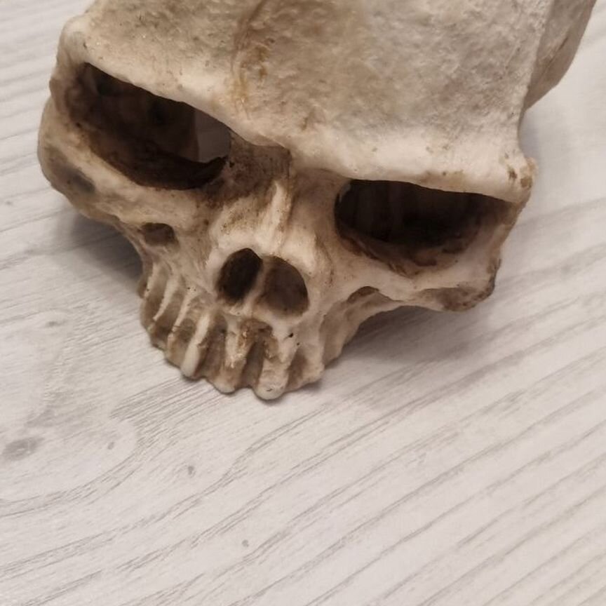 Укрытие в виде черепа