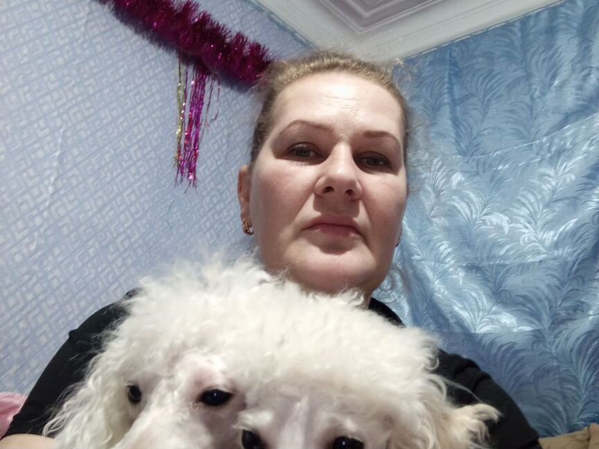 Щенки белого Пуделя