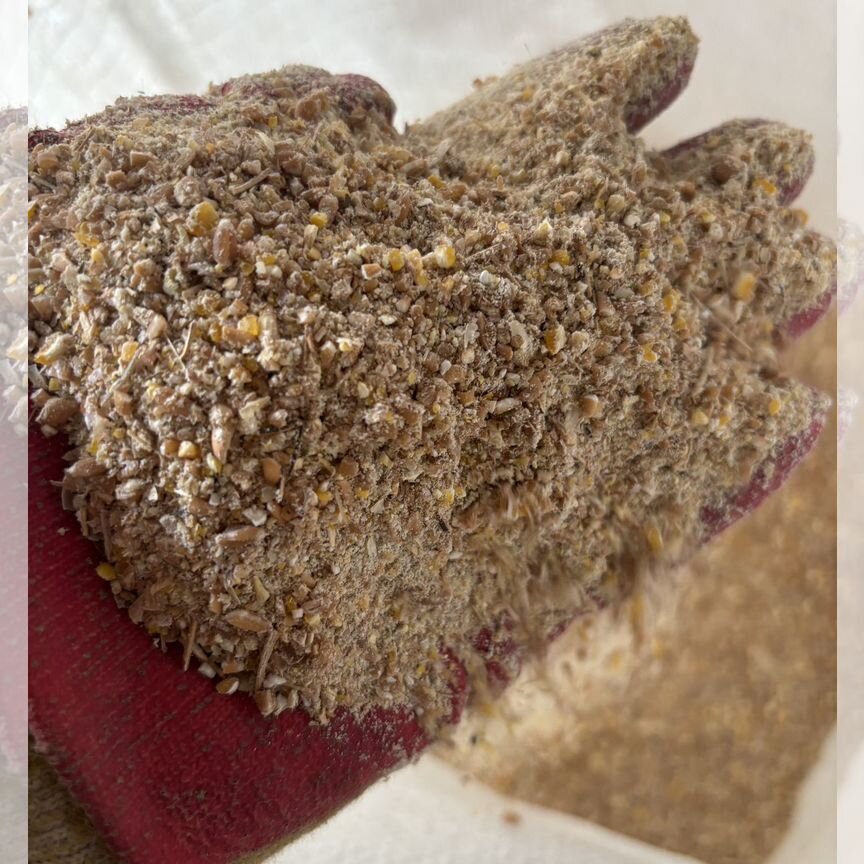 Зерносмесь, дробленая кукуруза