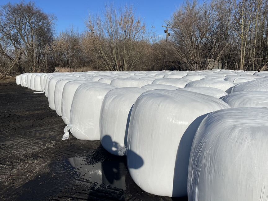 Жом консервированный свекловичный