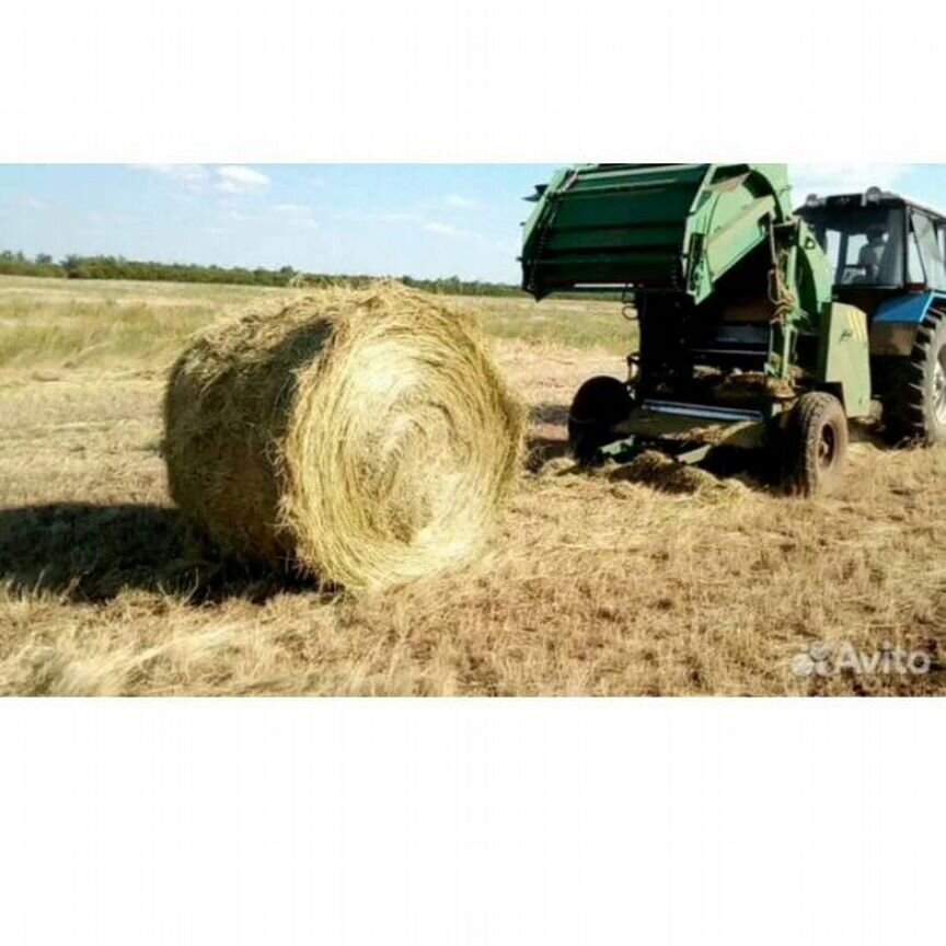 Продам сено в рулонах