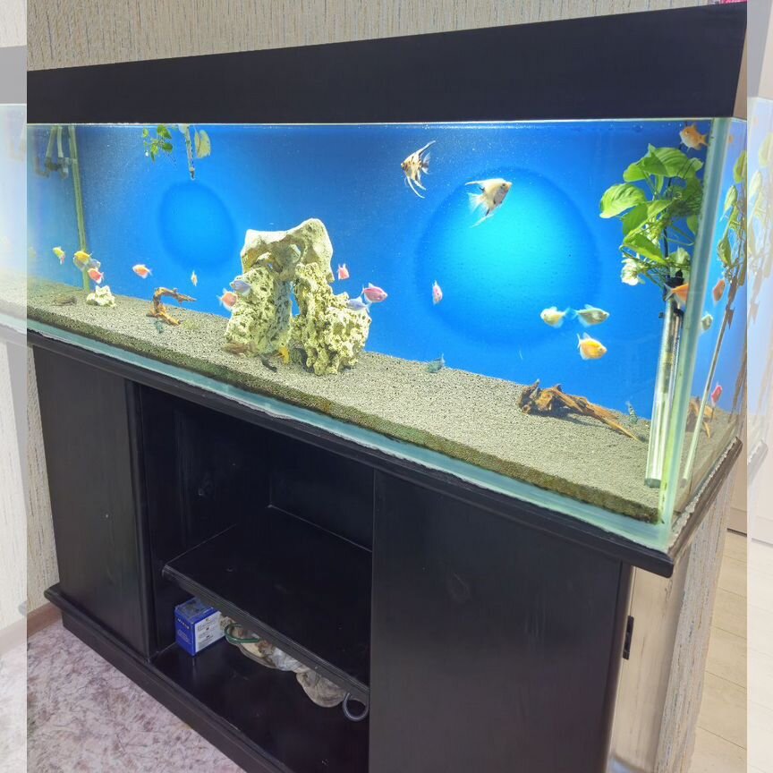 Аквариум с тумбой 300 литров