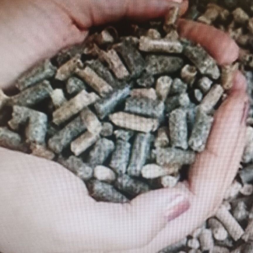 Шрот подсолнечный