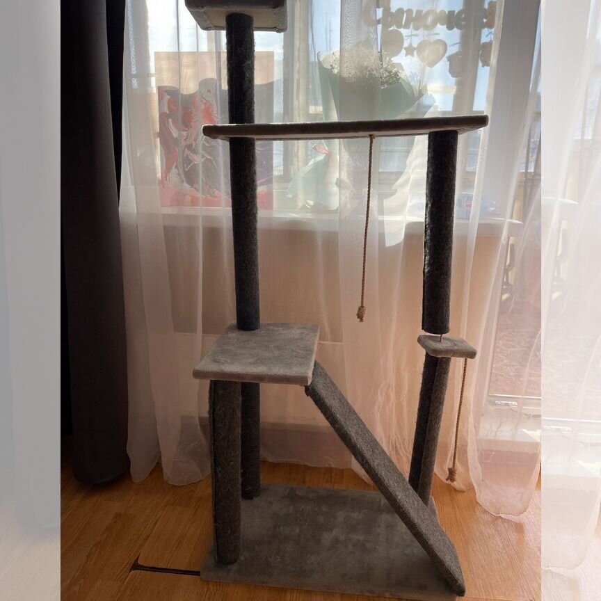 Когтеточка