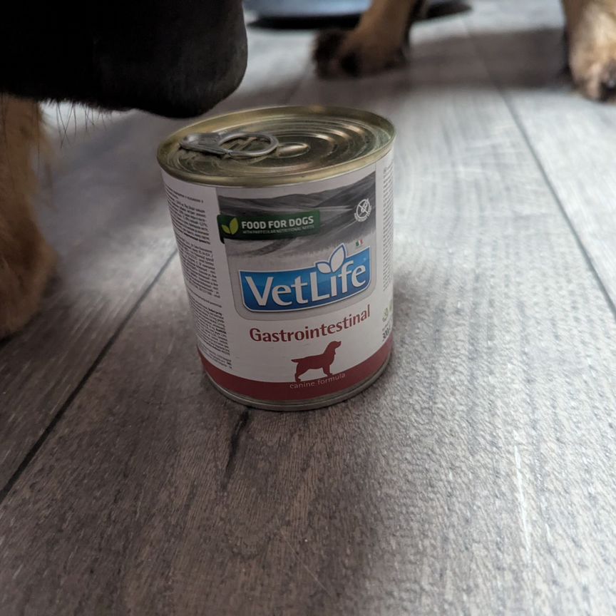 Vetlife gastrointestinal для собак