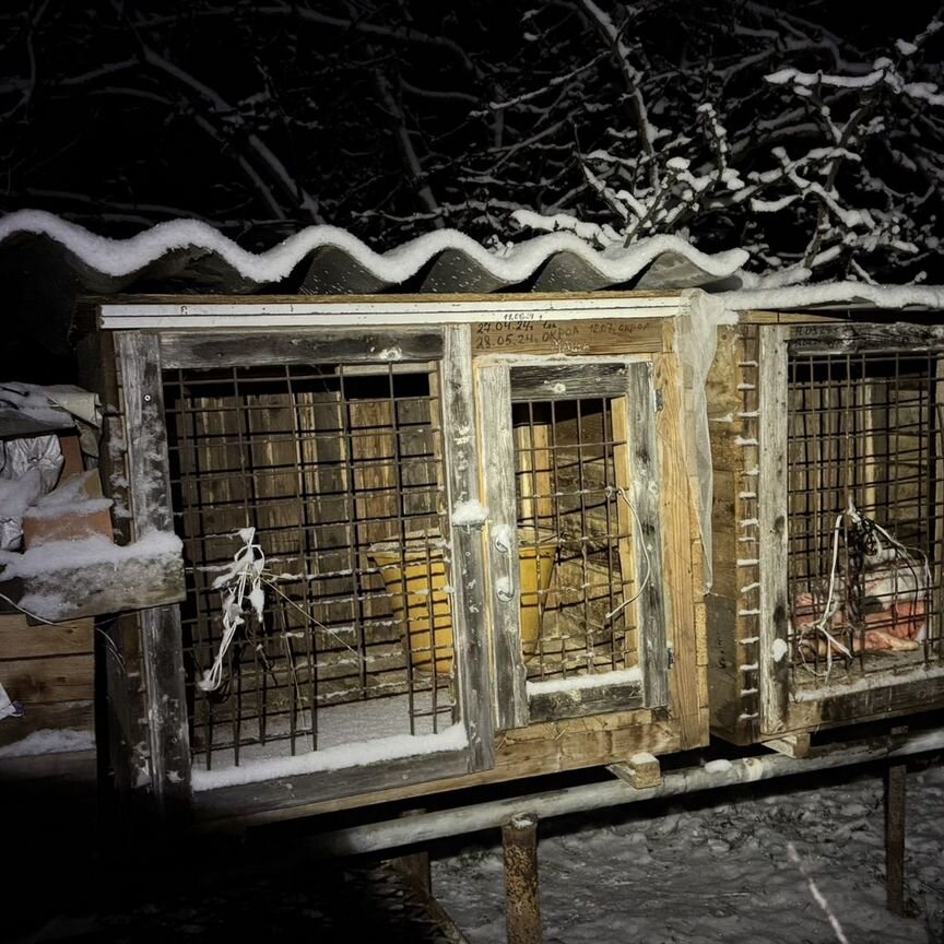 Клетка для кролика большая