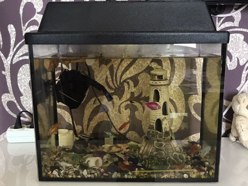 Аквариум 20 литров+фильтр