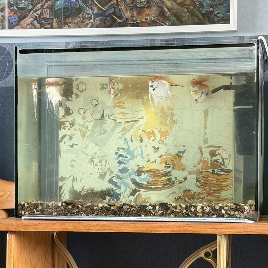 Аквариум с рыбками