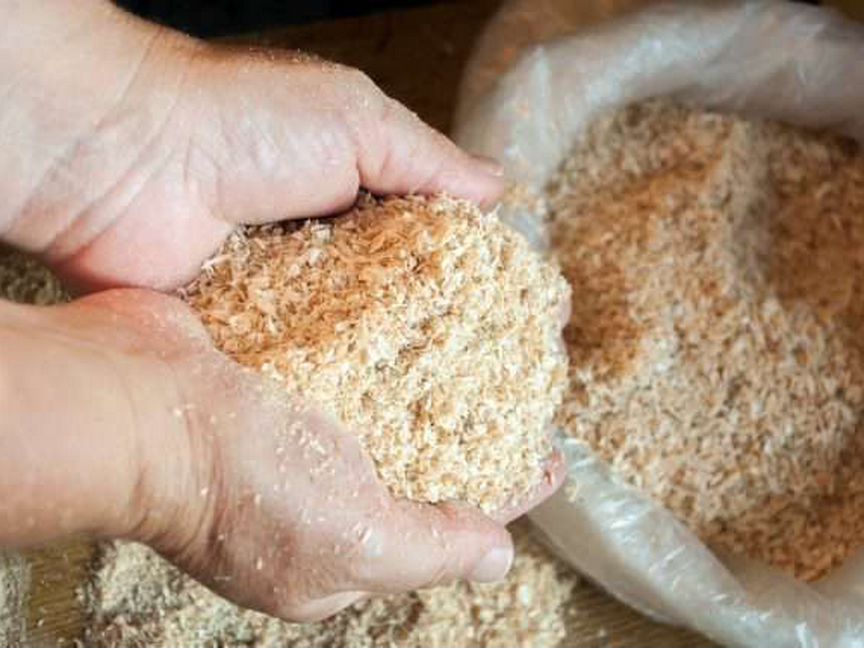 Опилки бесплатно