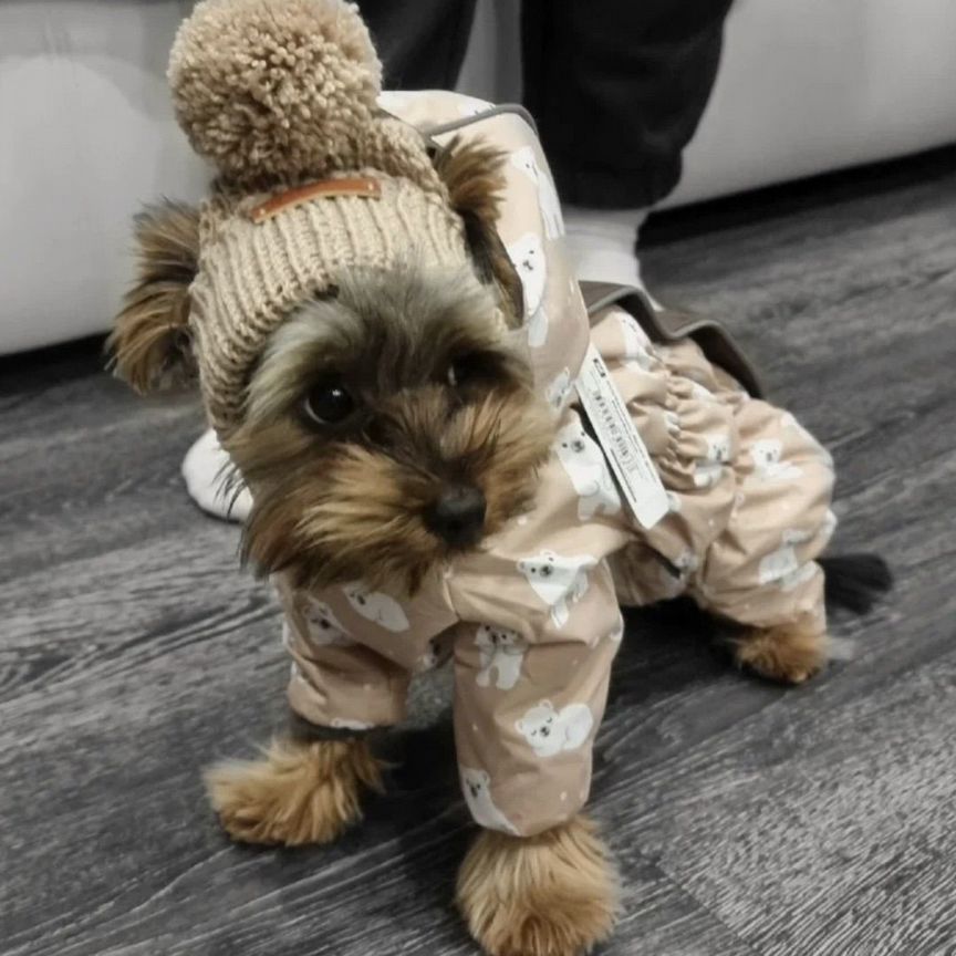 Зимний комбинезон для собак мелких пород