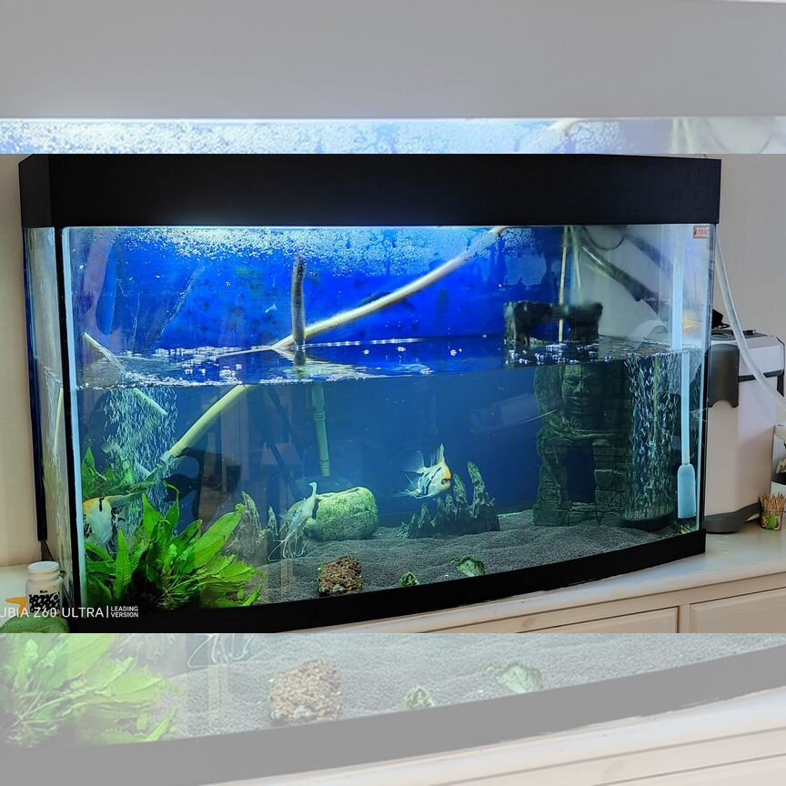 Аквариум 250 литров