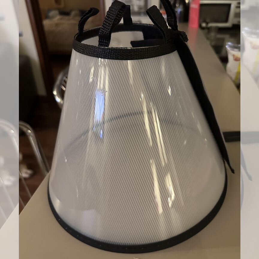 Воротник для животных