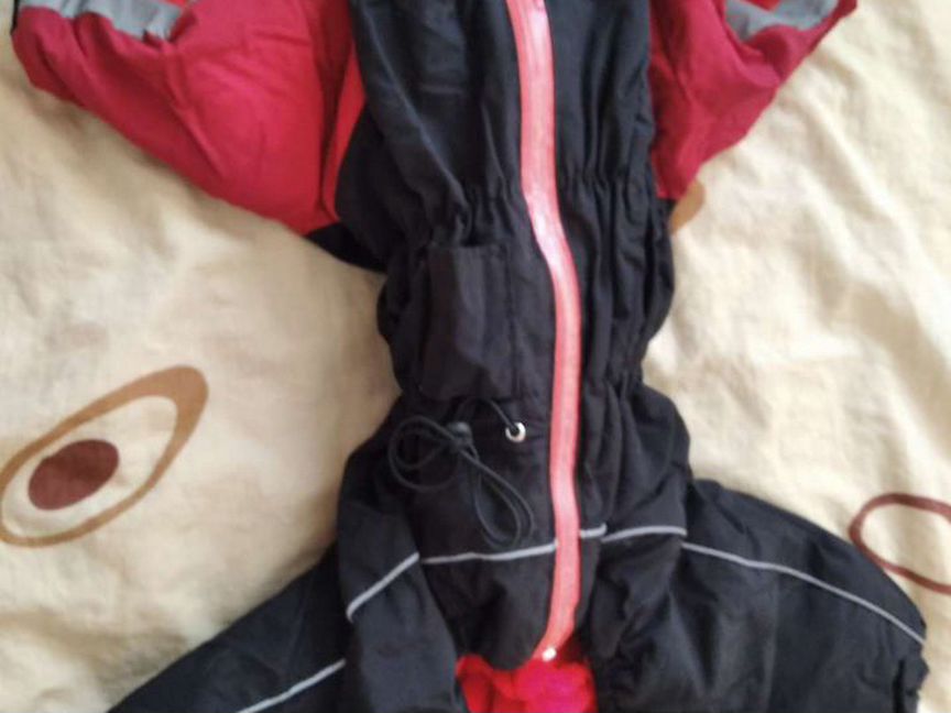 Зимняя и весенняя одежда для собак