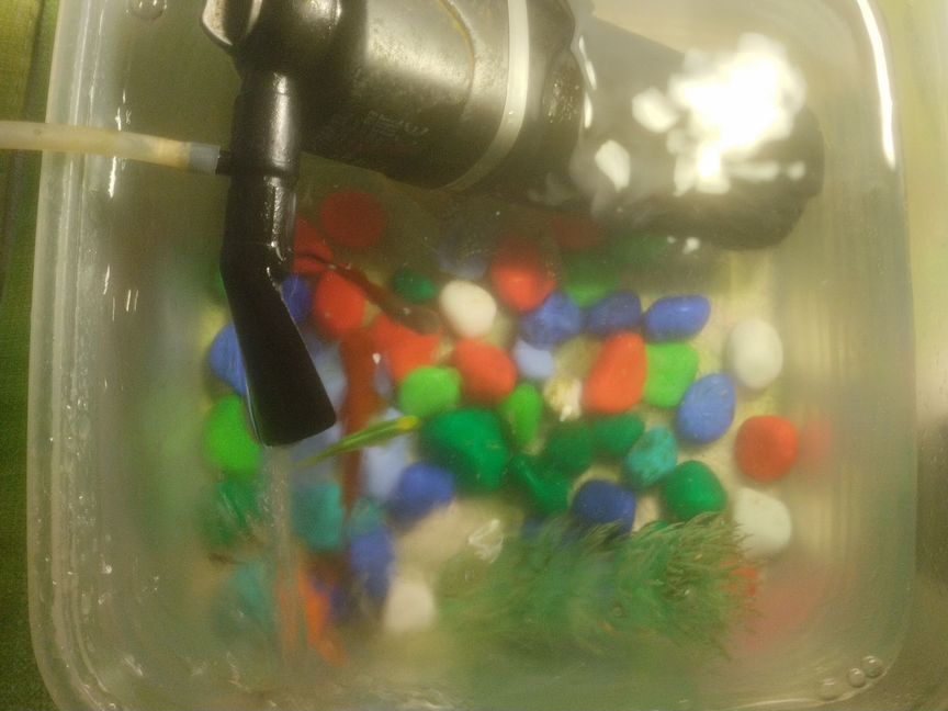 Рубки для аквариума