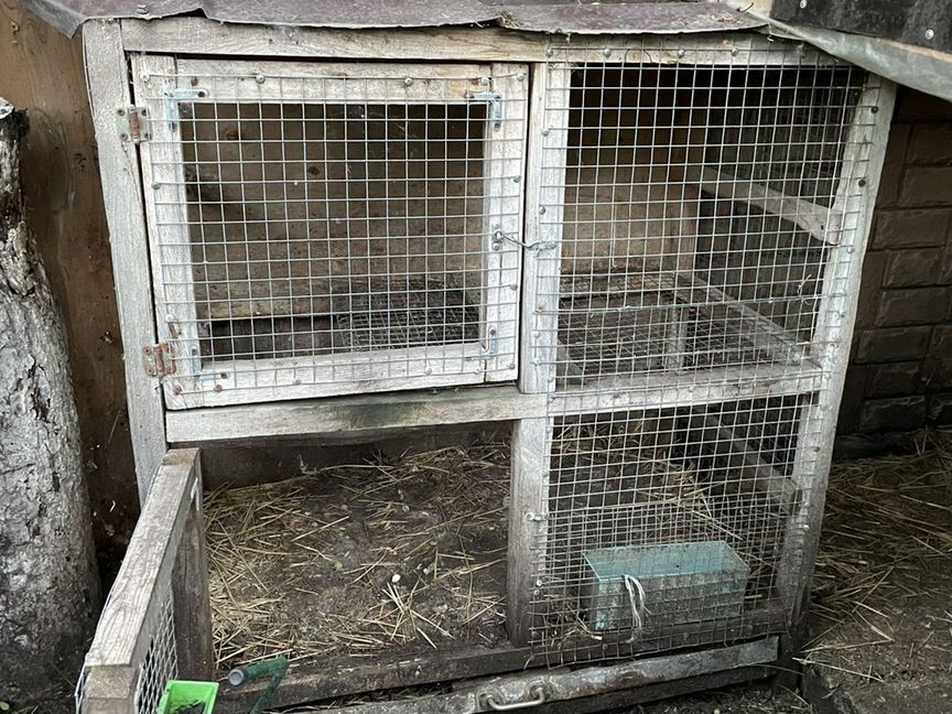 Клетка для кролика бесплатно
